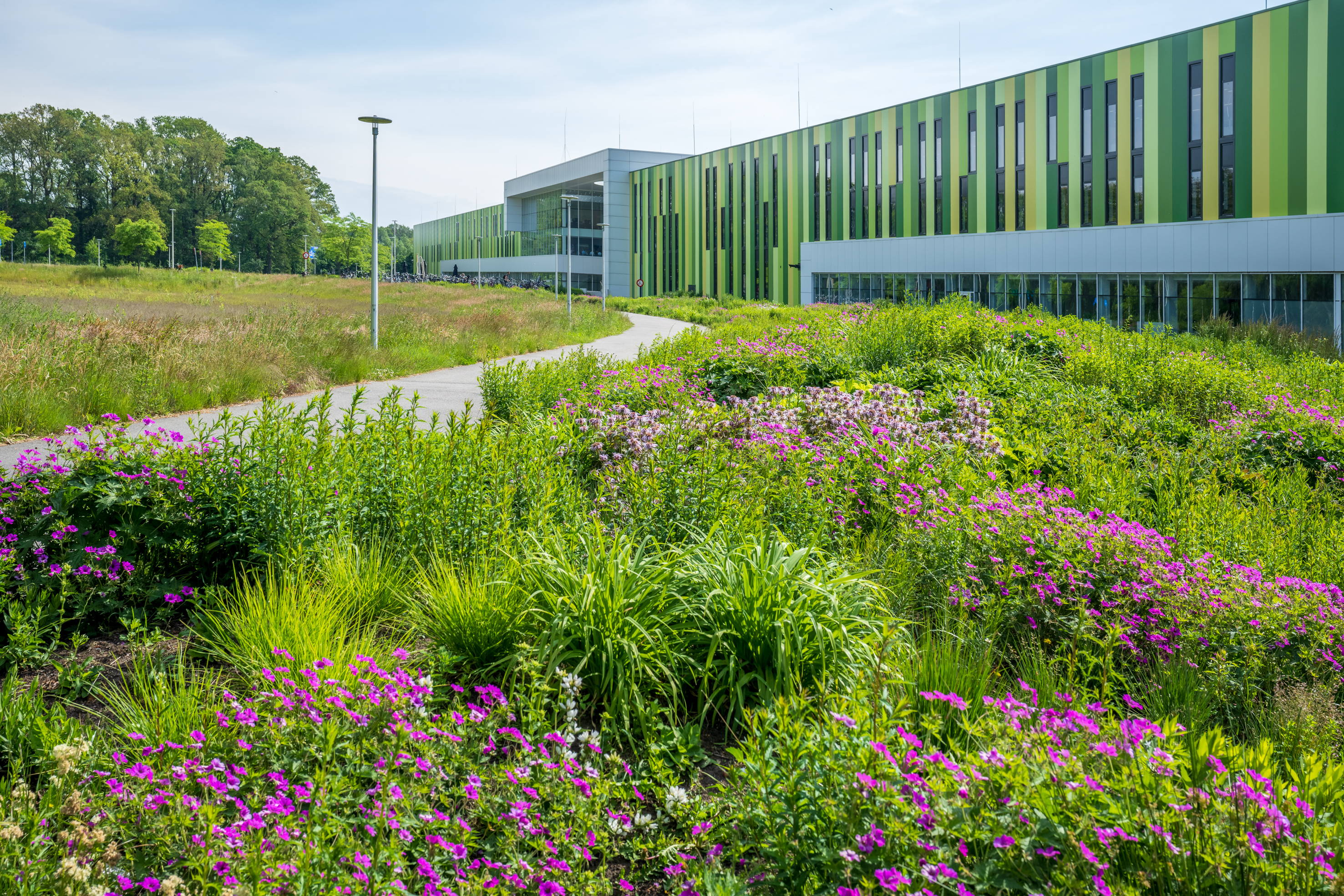 Een groene en gezonde leefomgeving