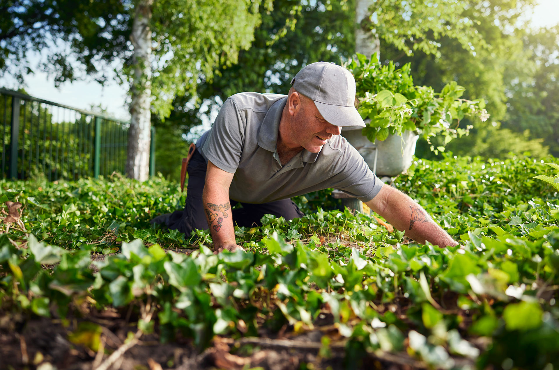 Wij zijn Vebego Groen