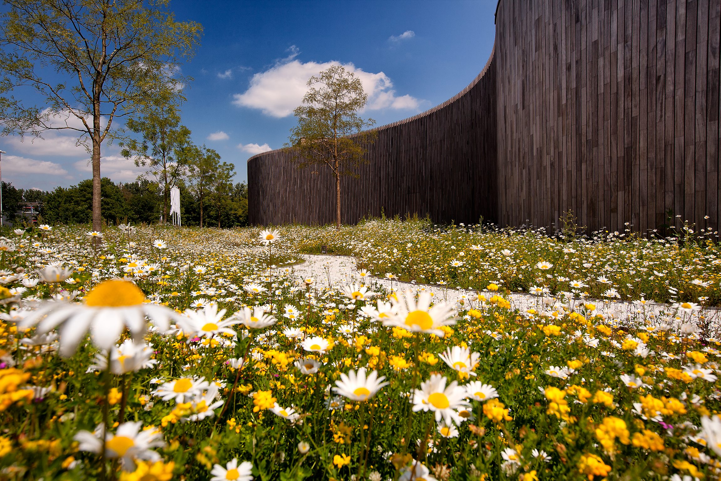 Wij zijn Vebego Groen