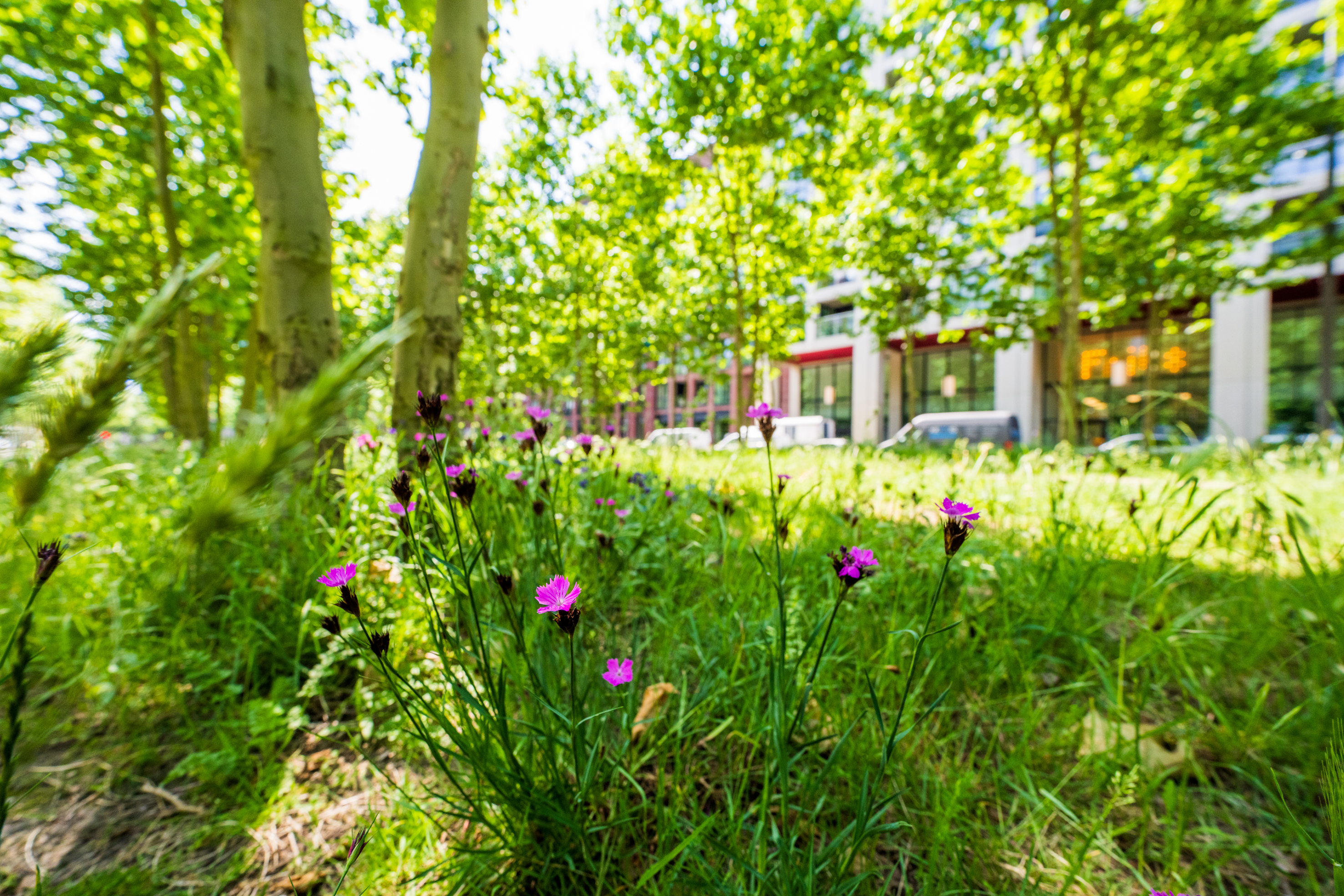 Wij zijn Vebego Groen